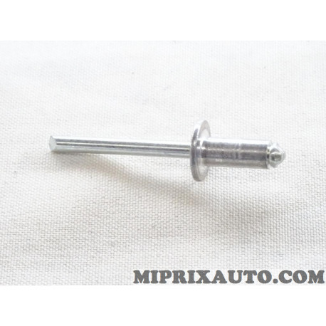 Rivet pop fixation usage divers Citroen Peugeot original OEM 697046 ...